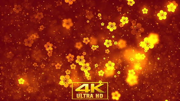 Chinese Plum Blossom Background V2, Motion Graphics | VideoHive